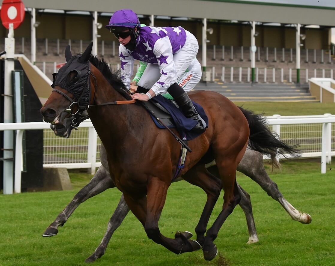 News - Elliott Bloodstock Services